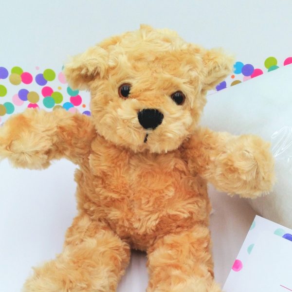 History of the Teddy Bear